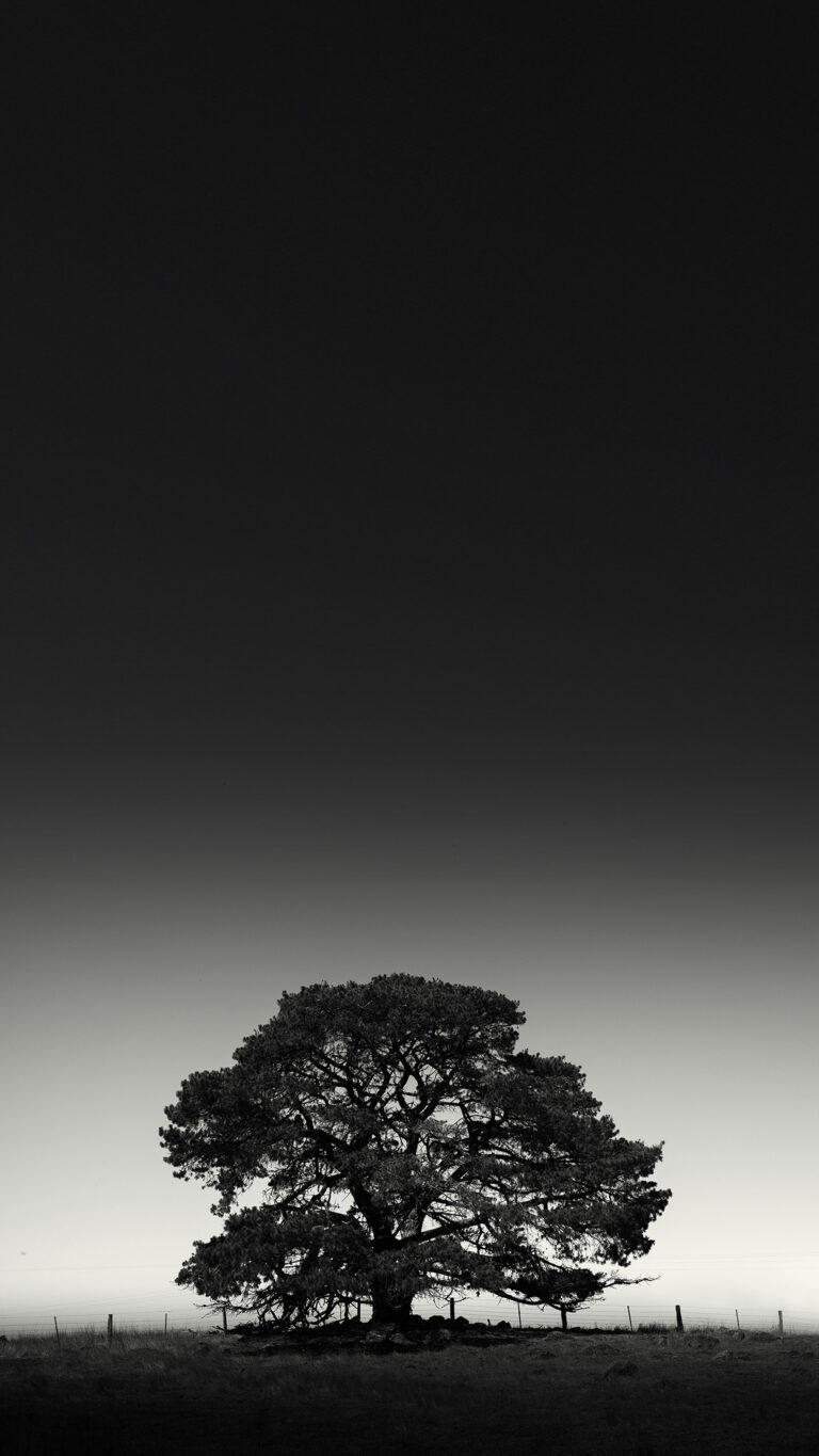 Rob Heyman Photography